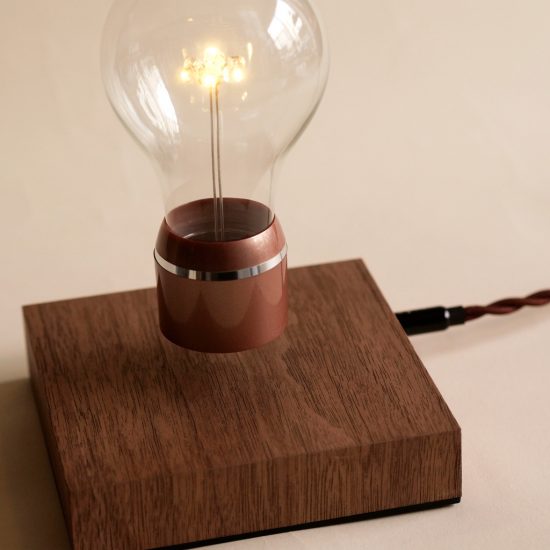 Four Store ~ Shop terrariums online – Four Store