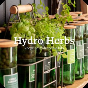 Four Store ~ Shop terrariums online – Four Store