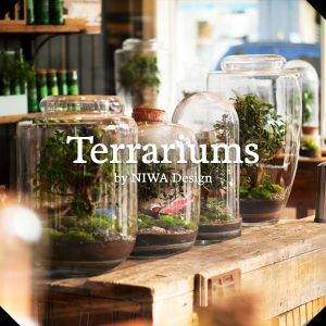 Four Store – Terrariums and nature
