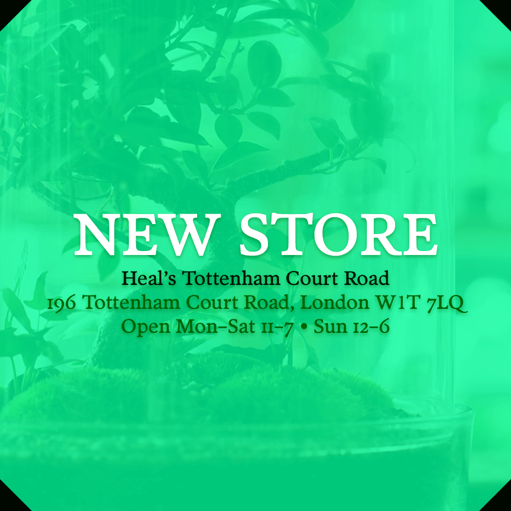 Four Store ~ Shop terrariums online – Four Store