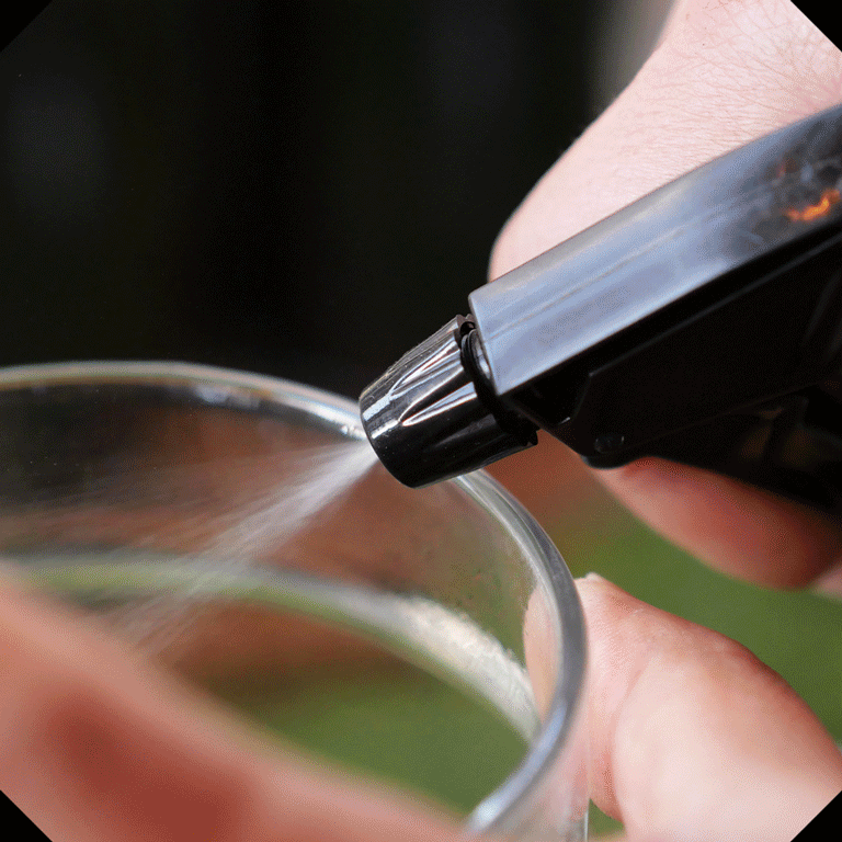 Terrarium Workshops – Four Store