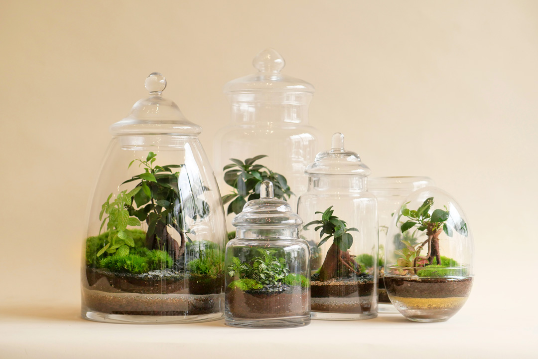 Shop online – Four Store