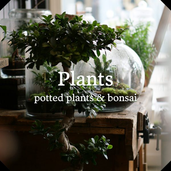 Four Store London – Four Store