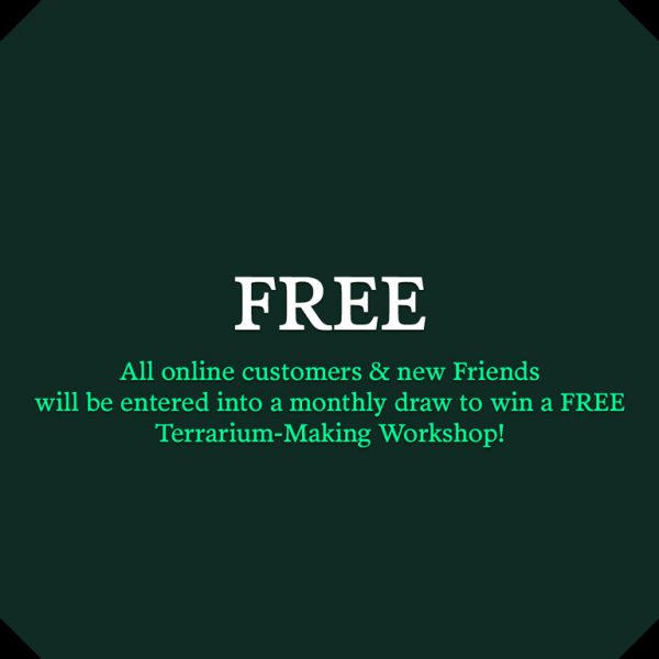 Four Store London – Four Store