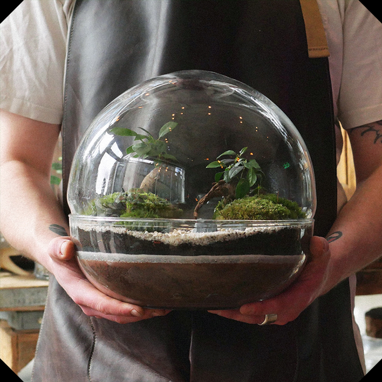 Terrarium Workshops – Four Store