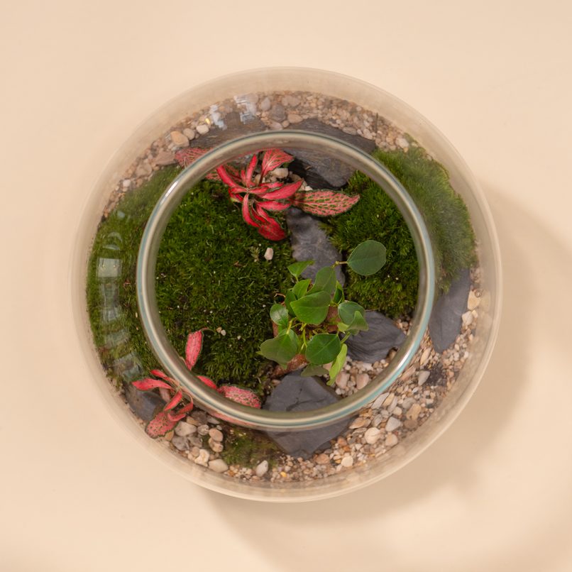 Four Store London ~ IV LIFESTYLE – Four Store