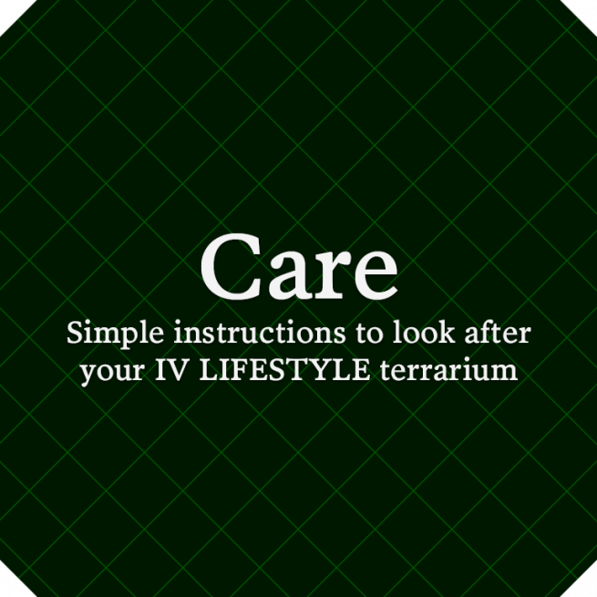 Four Store London ~ IV LIFESTYLE – Four Store