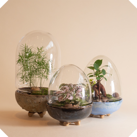 Four Store London ~ IV LIFESTYLE – Four Store