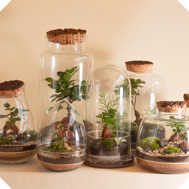 Four Store London ~ IV LIFESTYLE – Four Store