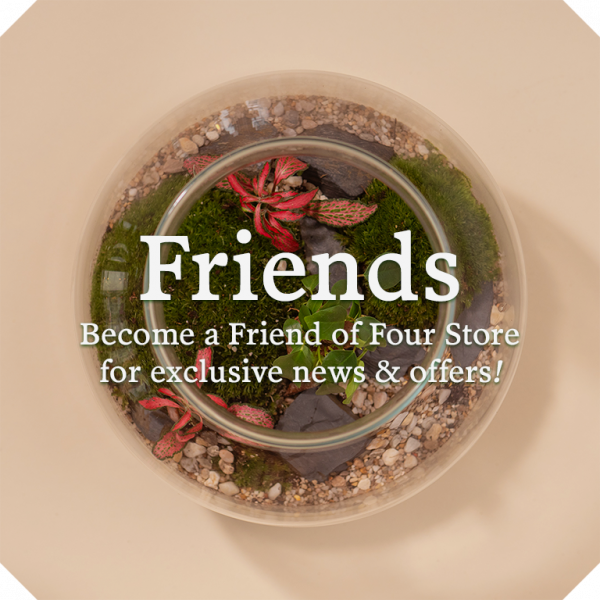 Four Store London ~ IV LIFESTYLE – Four Store