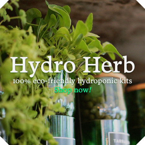 Four Store London ~ IV LIFESTYLE – Four Store