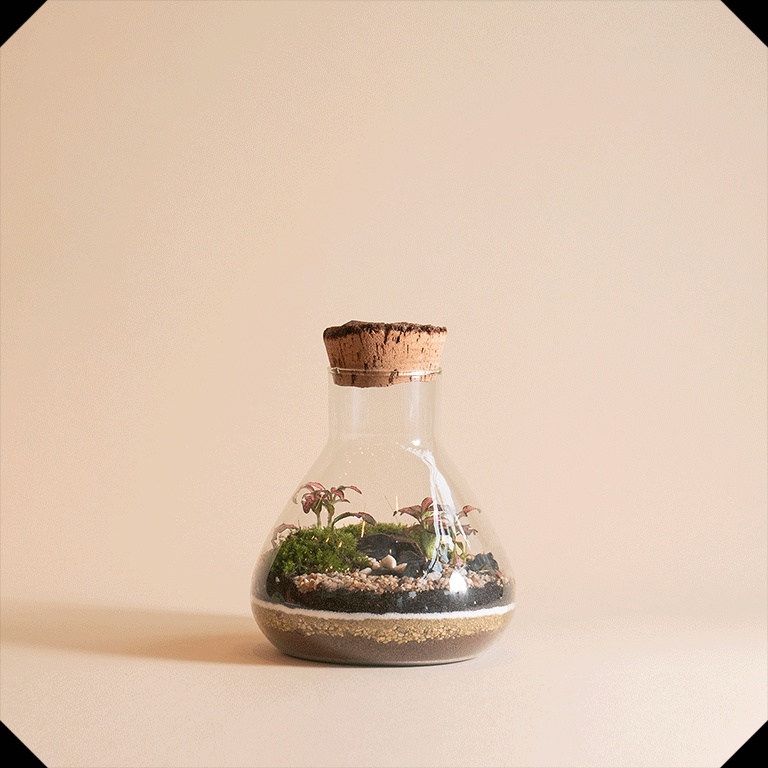 Four Store London ~ IV LIFESTYLE – Four Store