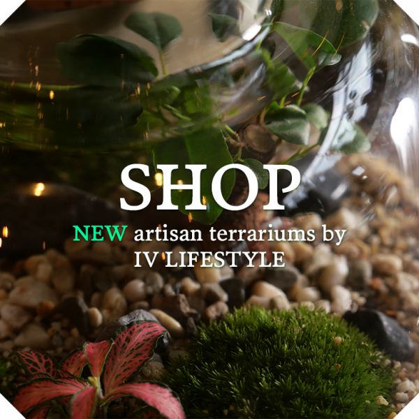 Four Store London ~ IV LIFESTYLE – Four Store