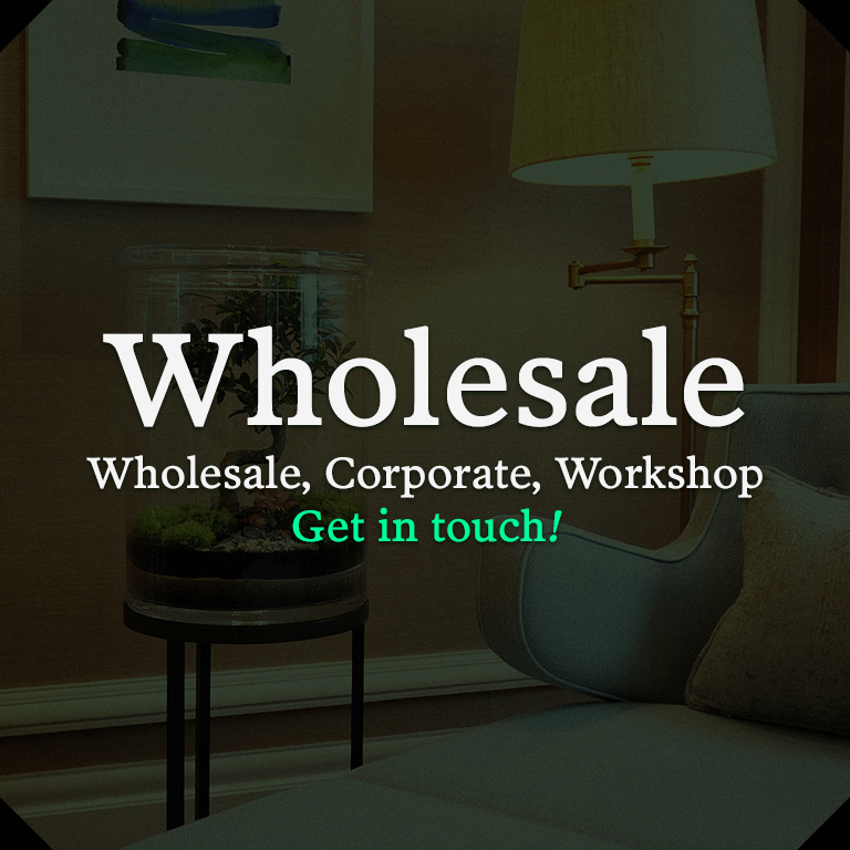 Four Store London ~ IV LIFESTYLE – Four Store